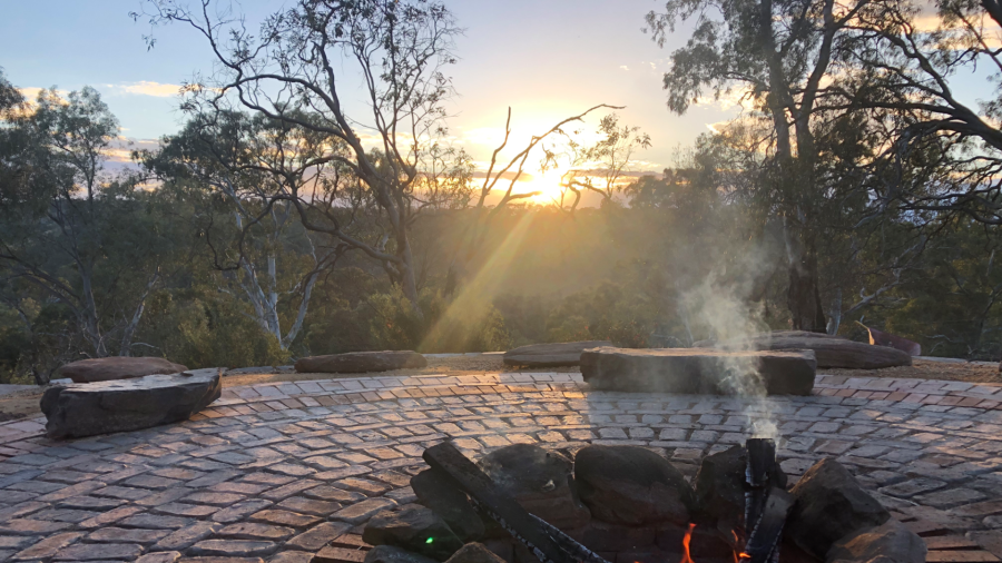 Workplace Wellbeing Immersive Experience - Warida Wholistic Wellness