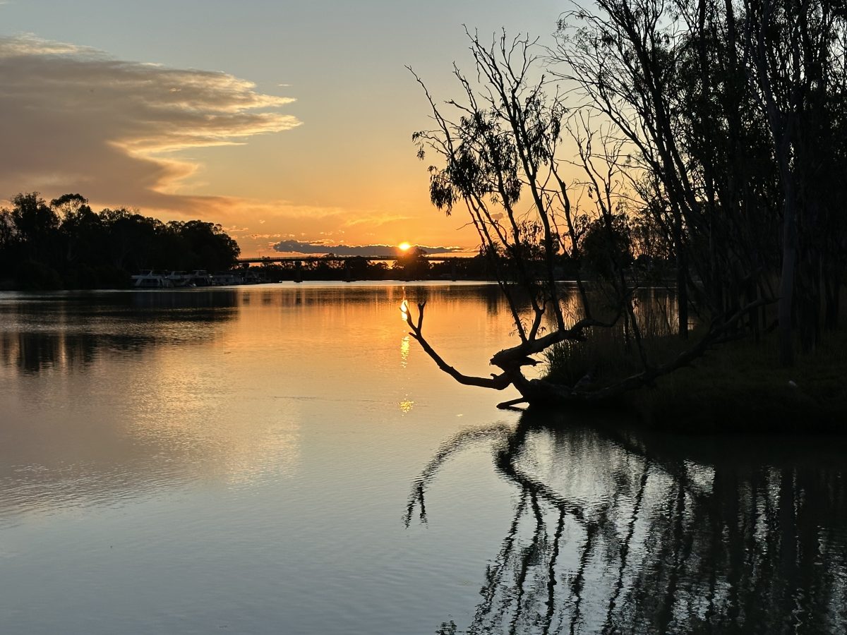 Workplace Wellbeing Immersive Experience - Warida Wholistic Wellness